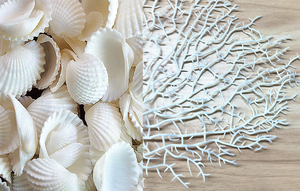 100 Floating White Seashells- White Coral Reef-Pearls-Aqua Sea Color G ...